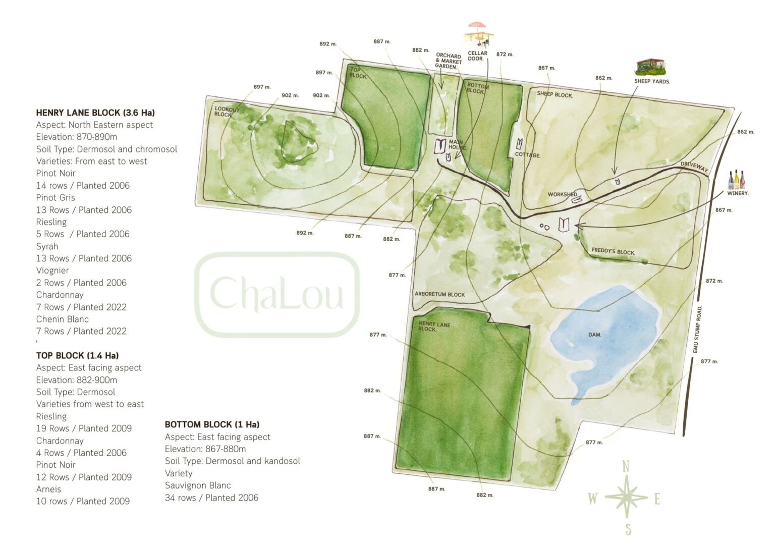 ChaLou Wines – Boutique Family Winery in Orange NSW